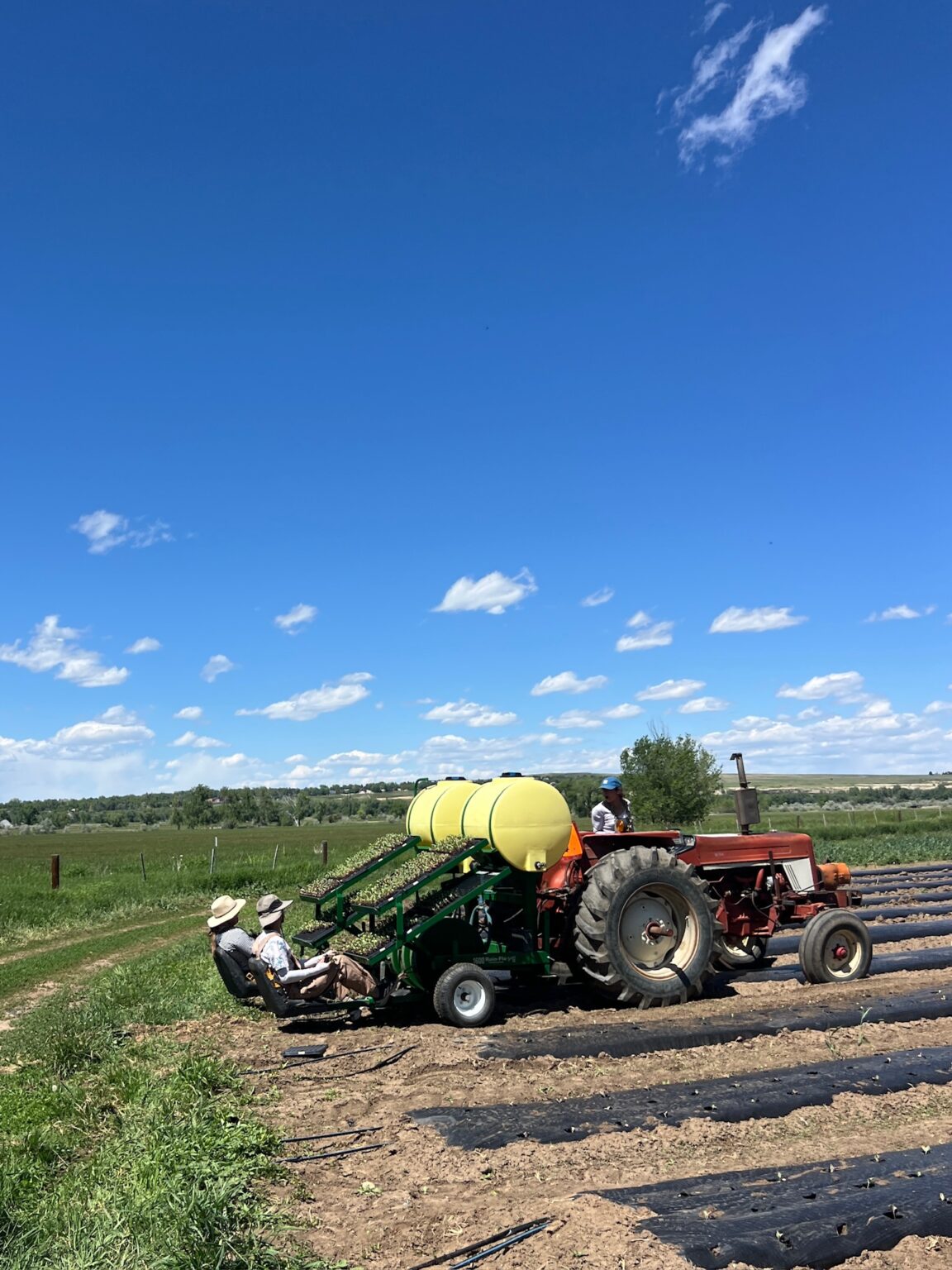 Community Farmers Alliance – Keep Boulder Farms Growing